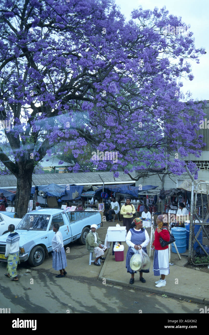 Manzini hi-res stock photography and images - Alamy