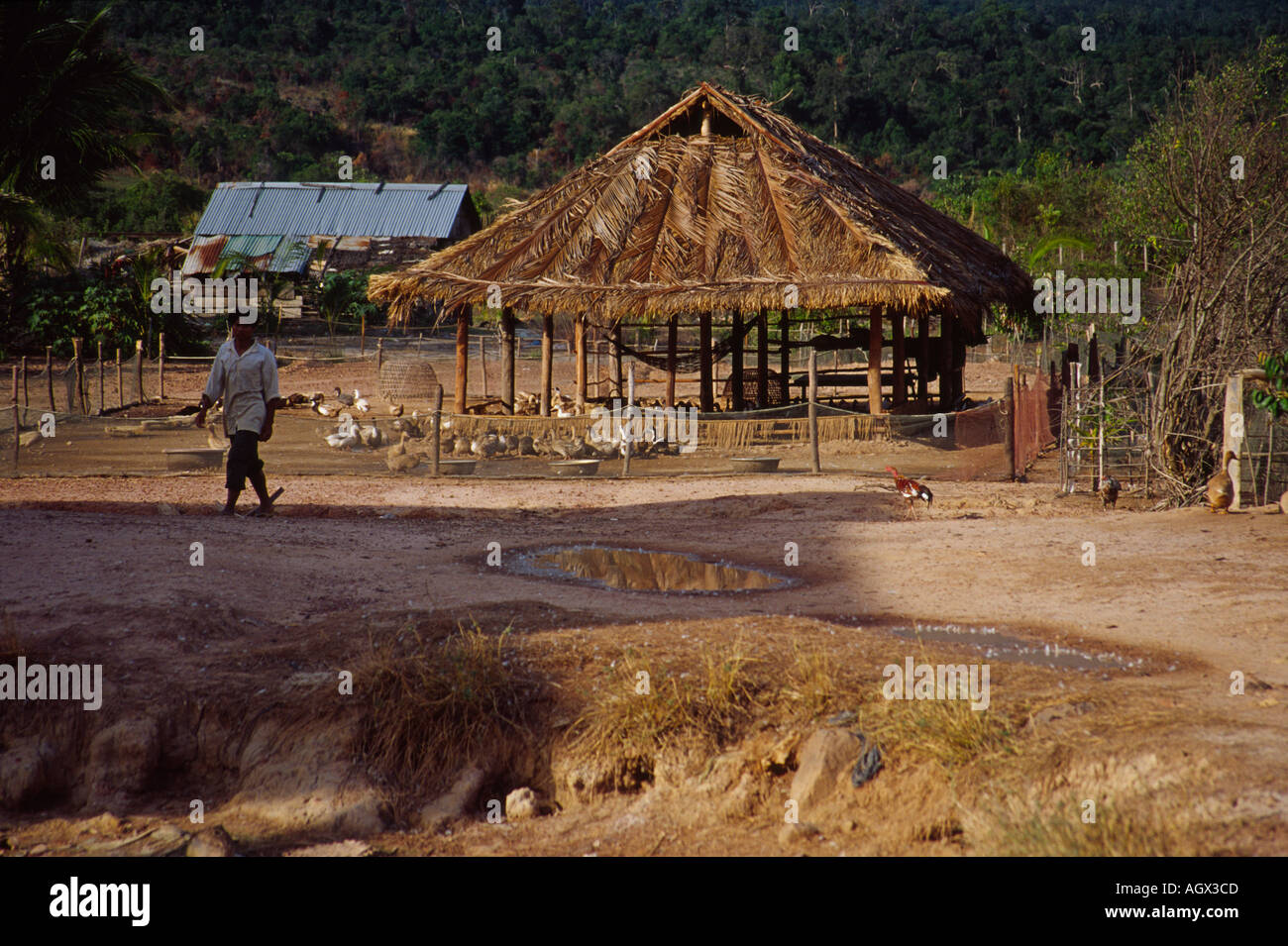 Kompong som hi-res stock photography and images - Alamy