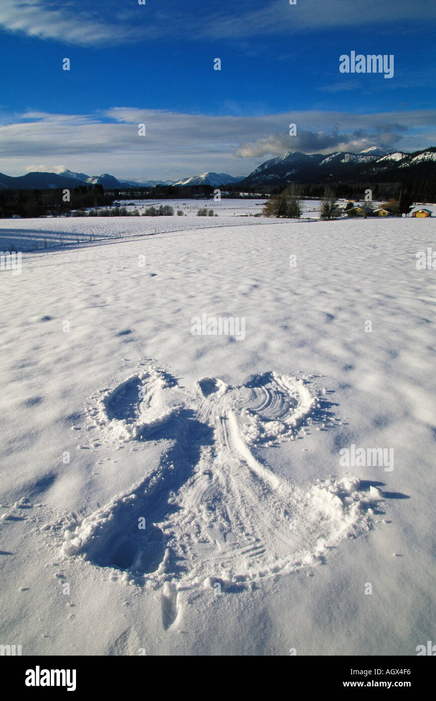 Snow Angel Shape