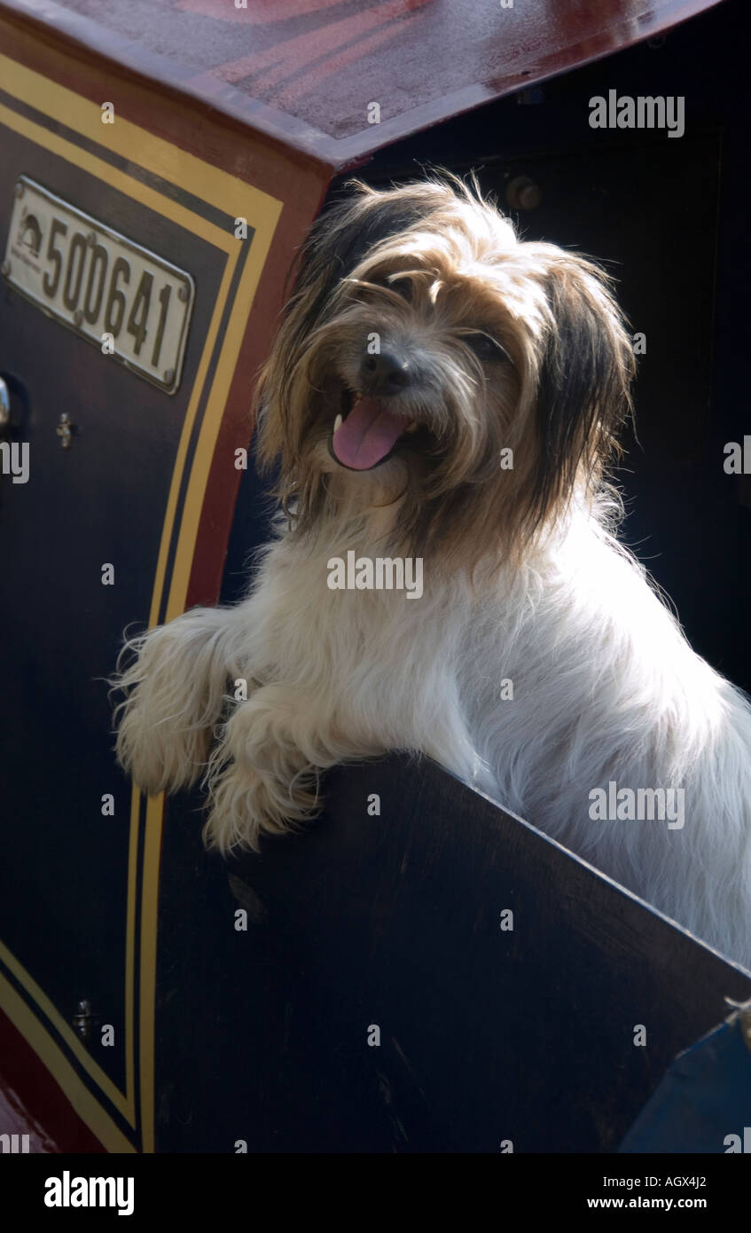 Dog barge hi-res stock photography and images - Alamy
