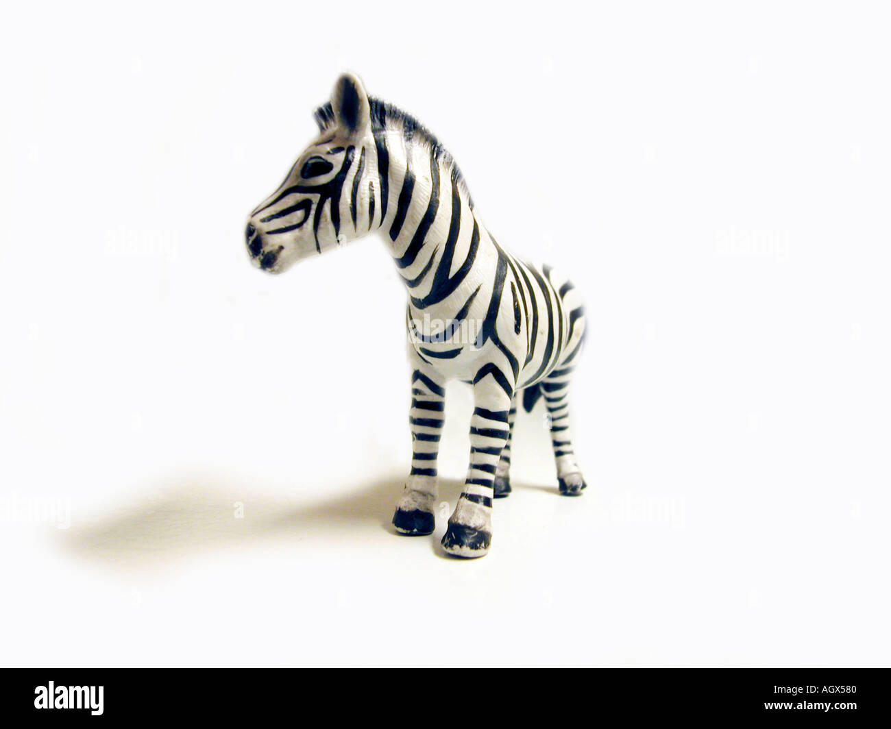 Zebra colours Cut Out Stock Images & Pictures - Alamy