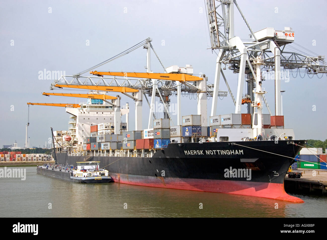 Container ship at the Port of Rotterdam Netherlands Stock Photo - Alamy