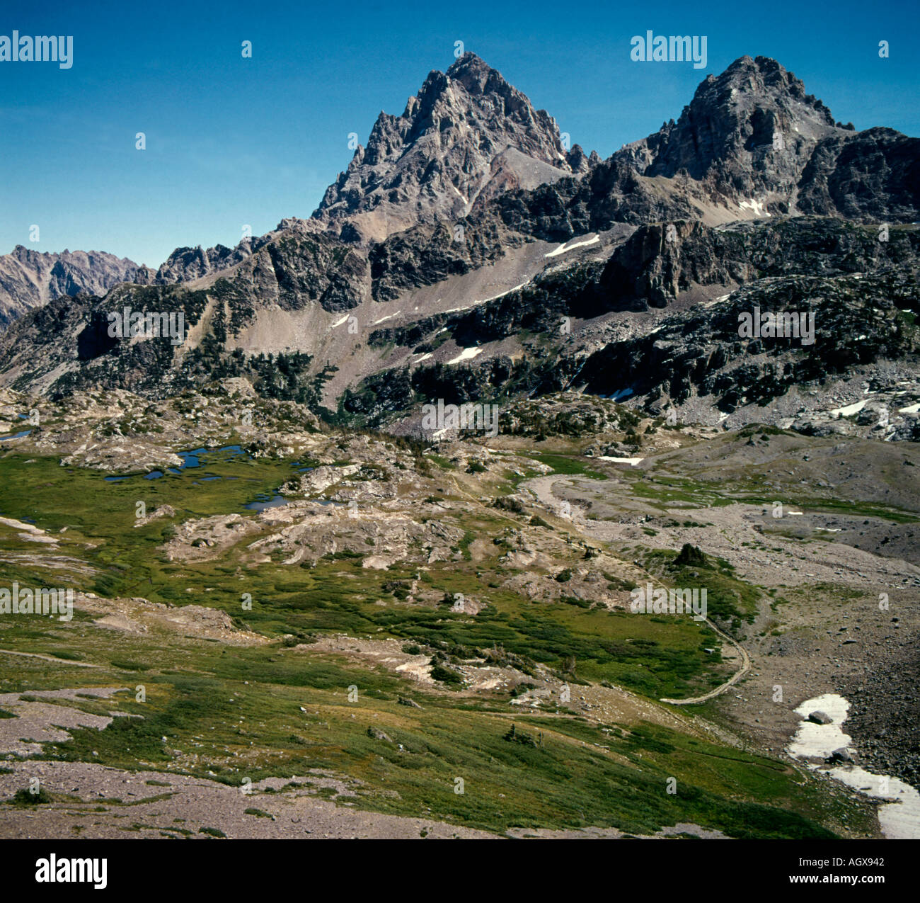 Horse pack string crosses a high pass on the West side of the Grand ...