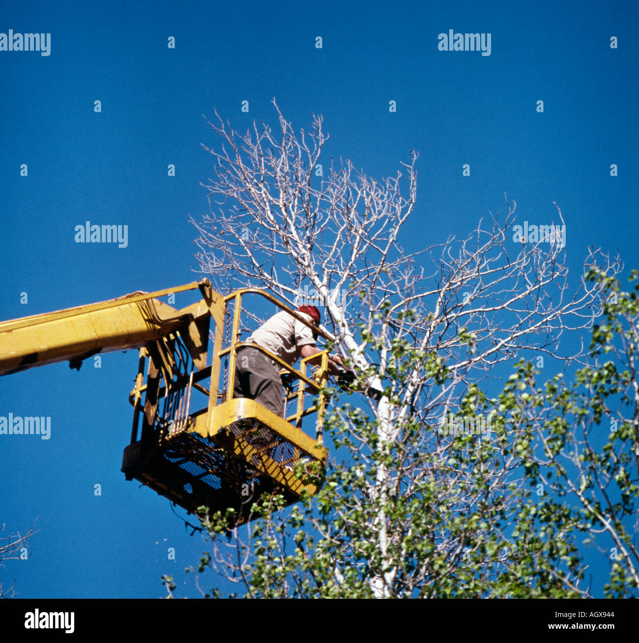 Work from cherry picker hi-res stock photography and images - Alamy