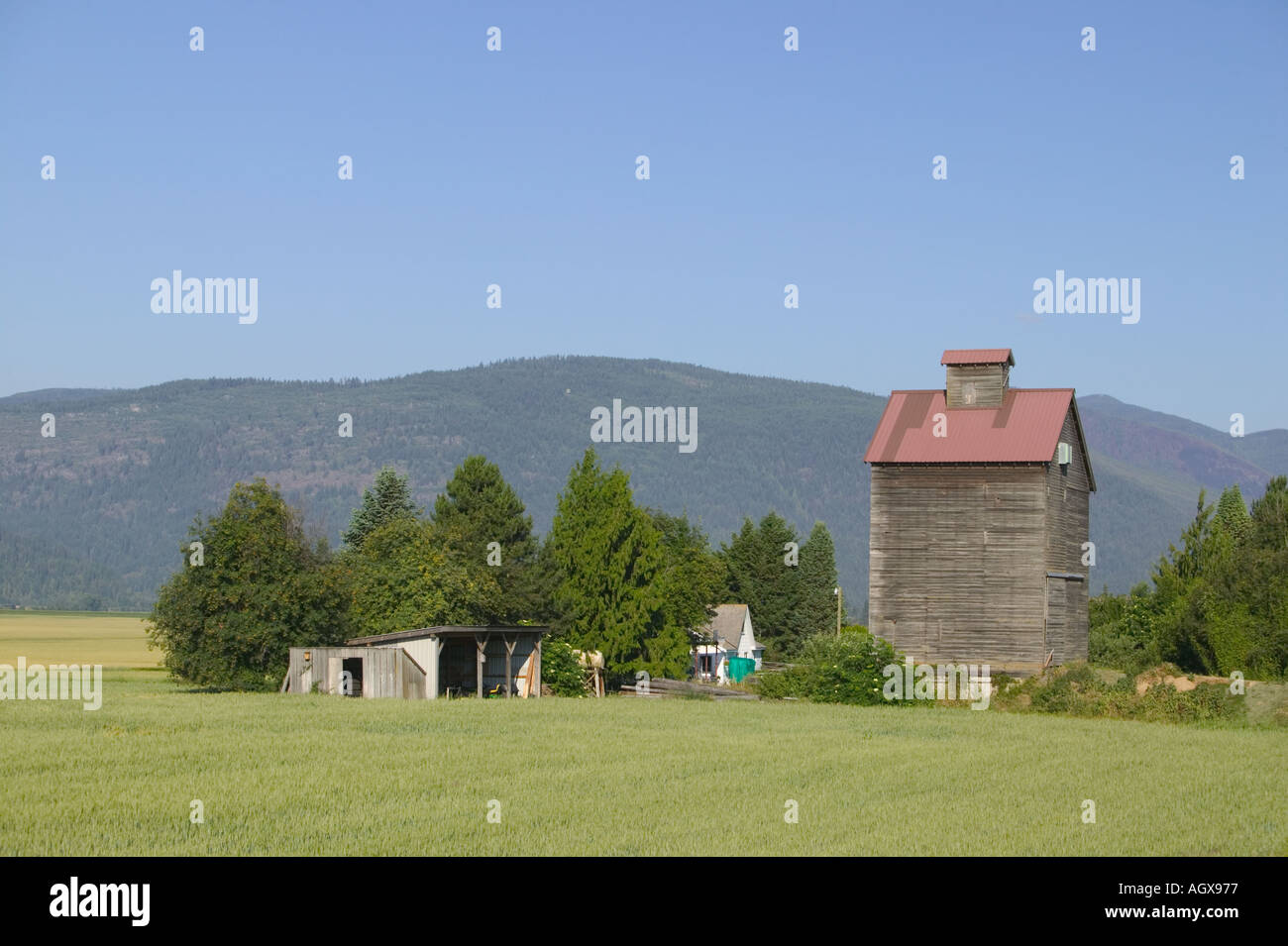 old grain silo and wheat field Purcell Trench Bonners Ferry Boundary ...