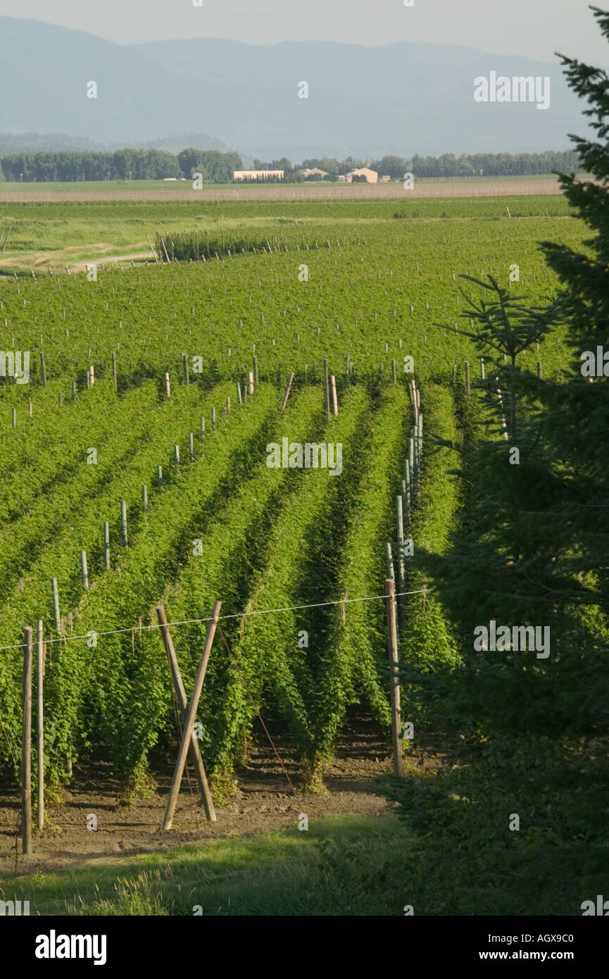 Purcell trench hi-res stock photography and images - Alamy