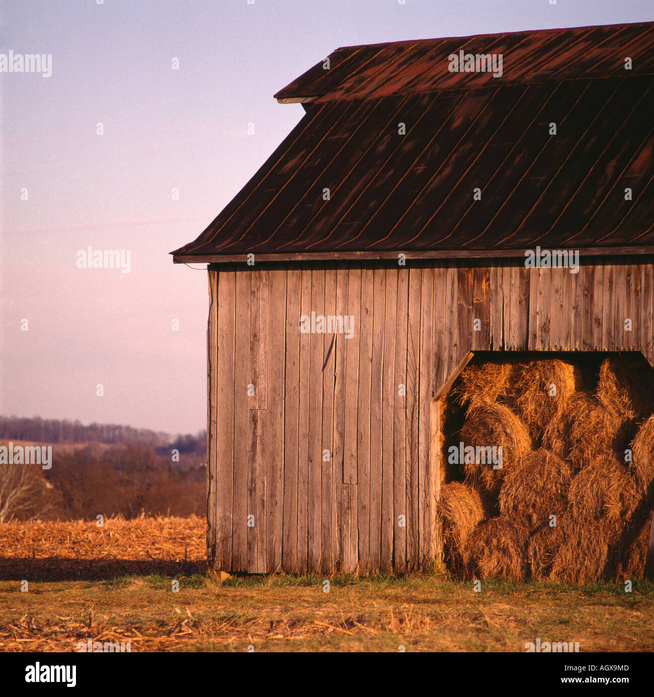 Haystacks in Barn Charlotesville VA Stock Photo - Alamy