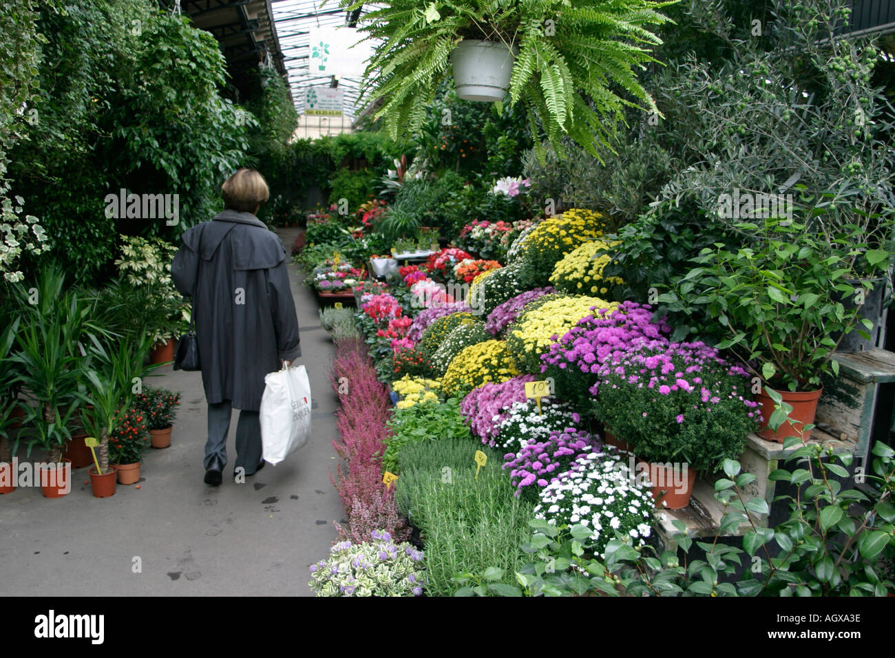 Marche aux Fleurs Paris Ile de France Stock Photo - Alamy