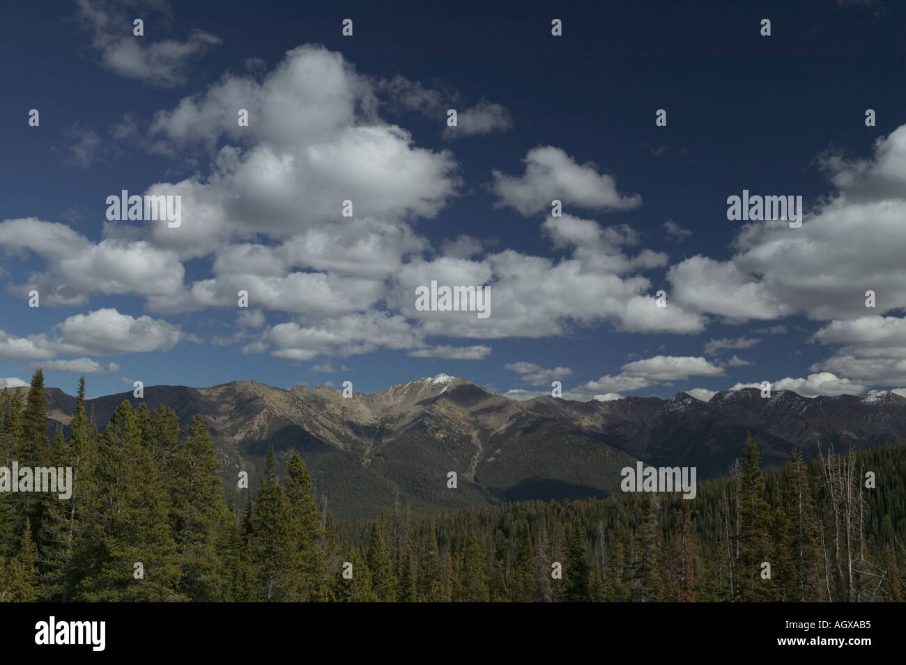 Galena Summit elev 8701 ft Sawtooth National Forest Blaine County Stock ...