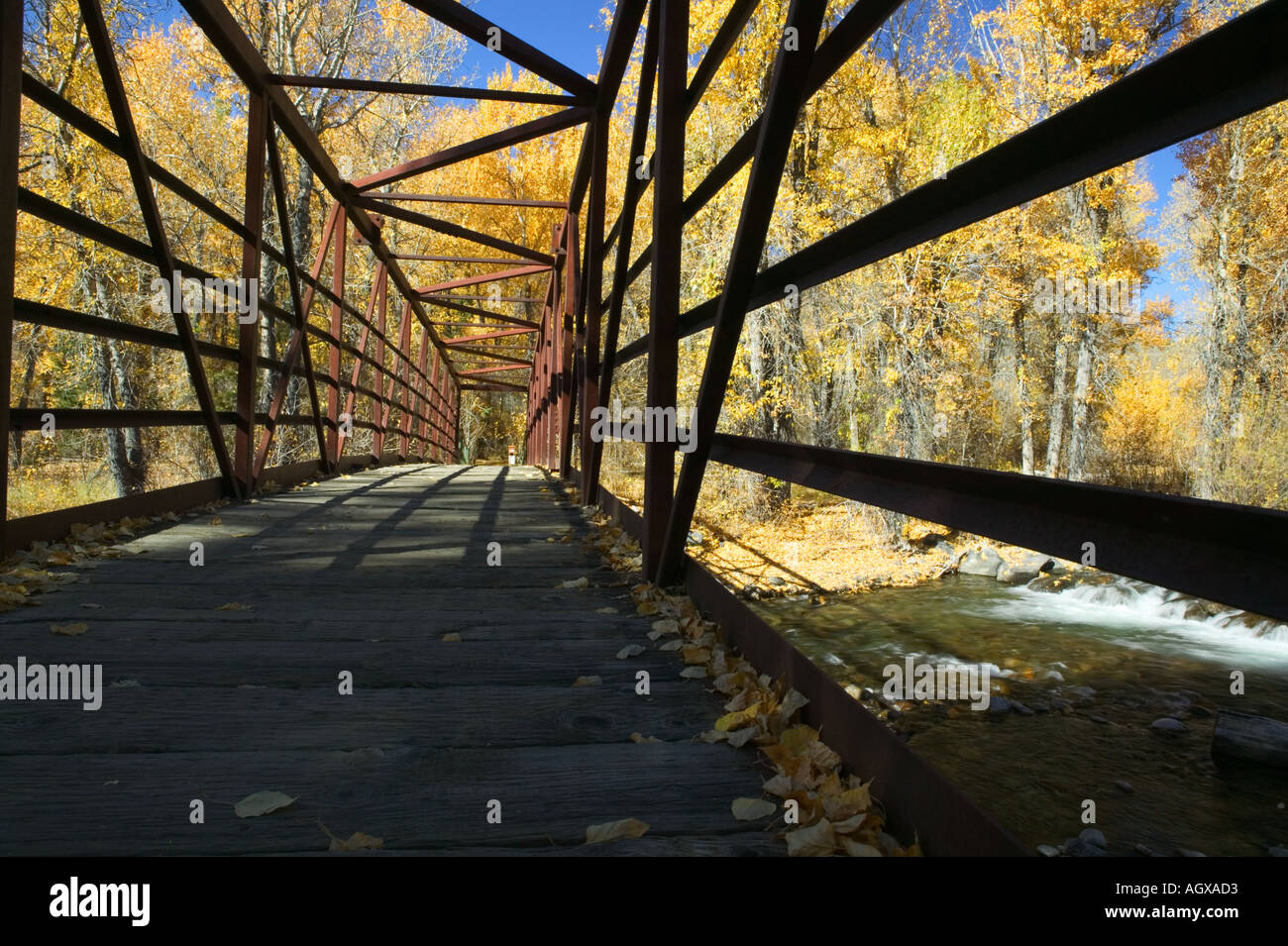 Footbridge Wood River Trail Wood River Ketchum Blaine County Idaho USA ...