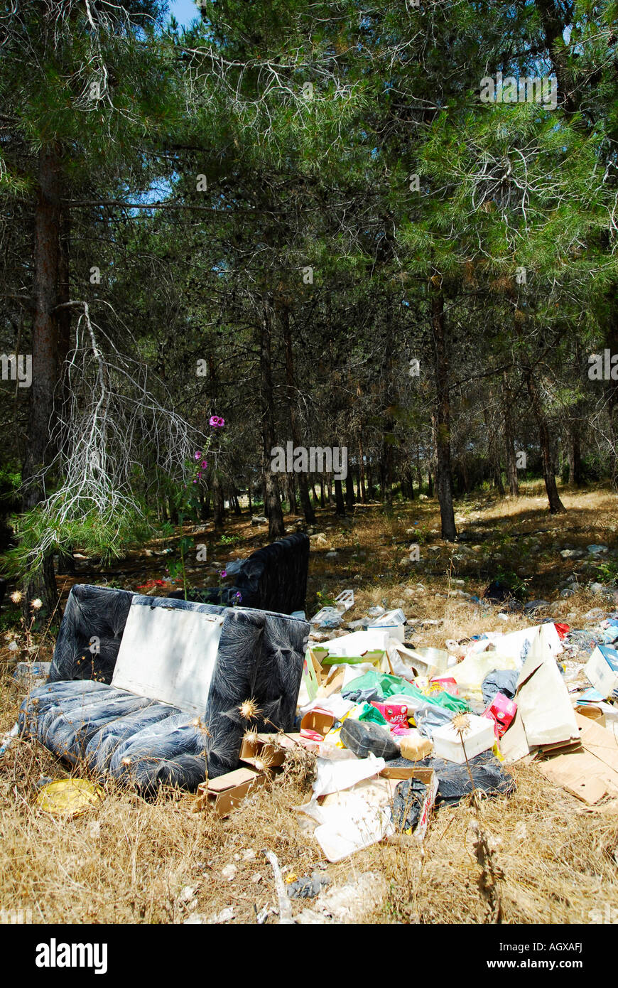 Pile of waste left in nature defacing the landscape and polluting the ...