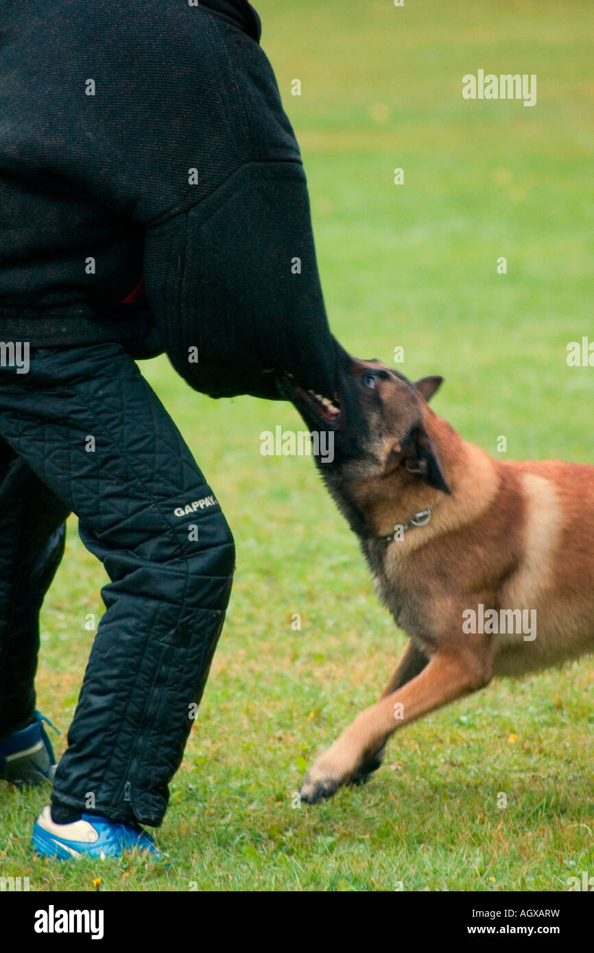 Police traning hi-res stock photography and images - Alamy