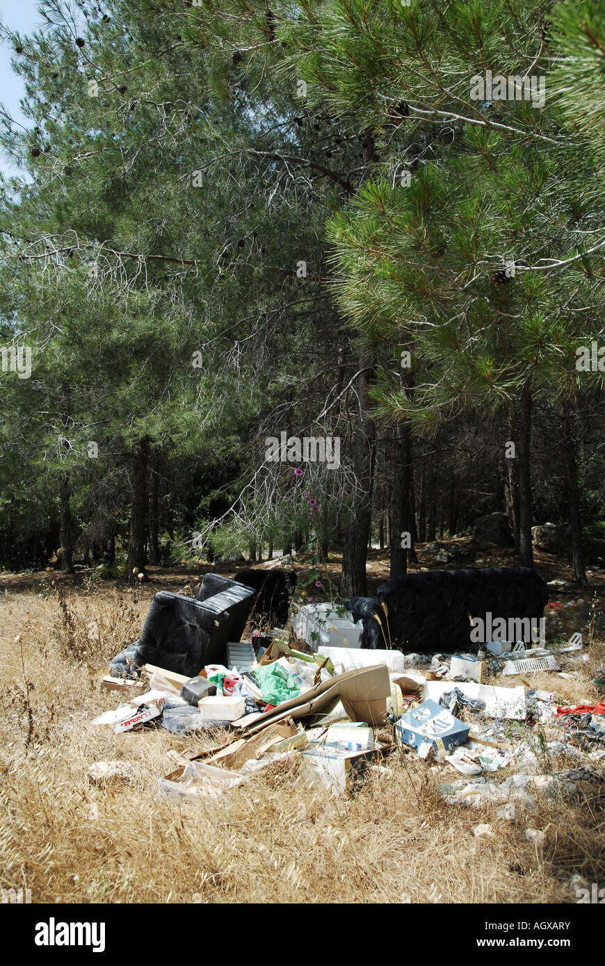 Pile of waste left in nature defacing the landscape and polluting the ...