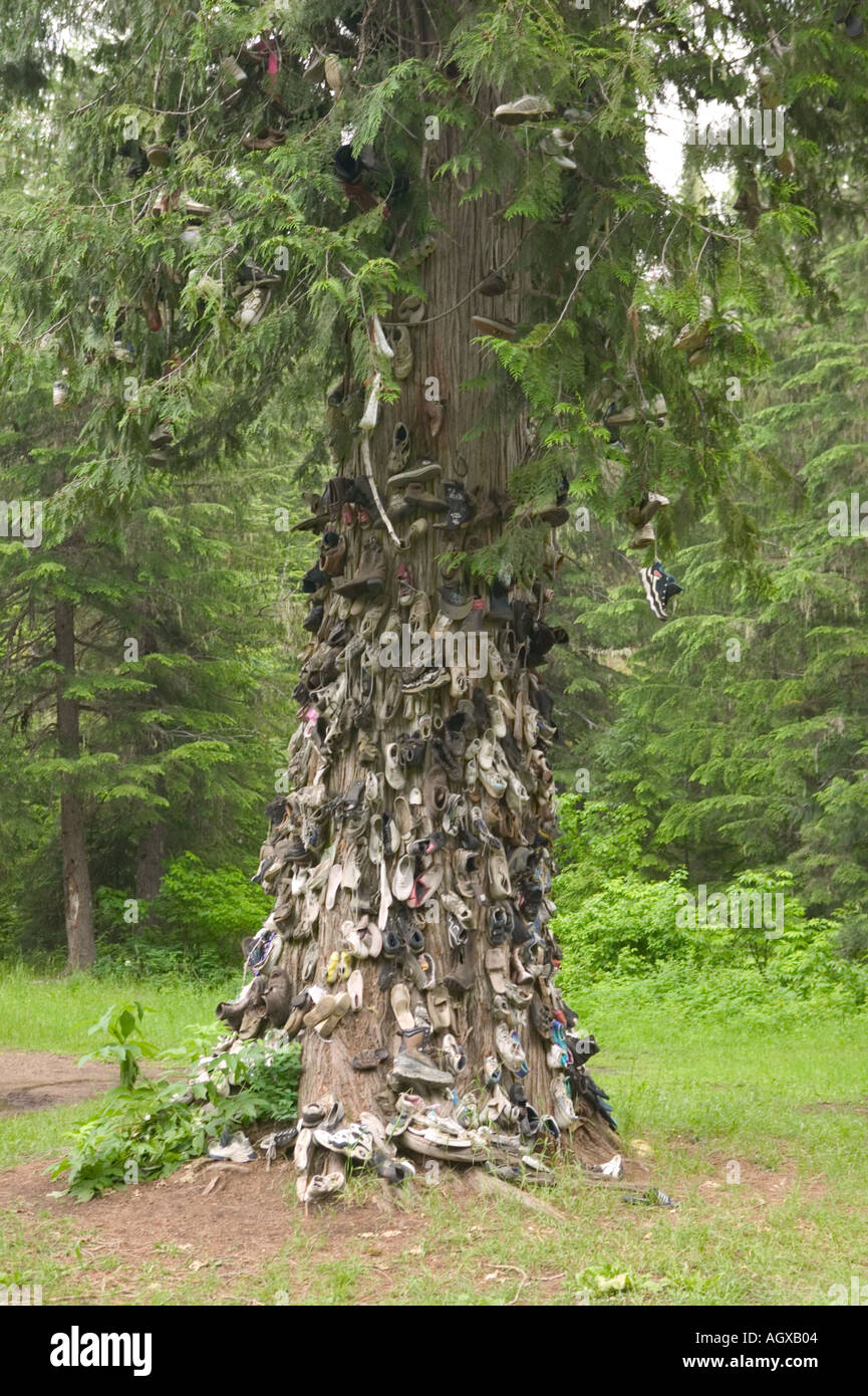 Tillicum High Resolution Stock Photography and Images - Alamy