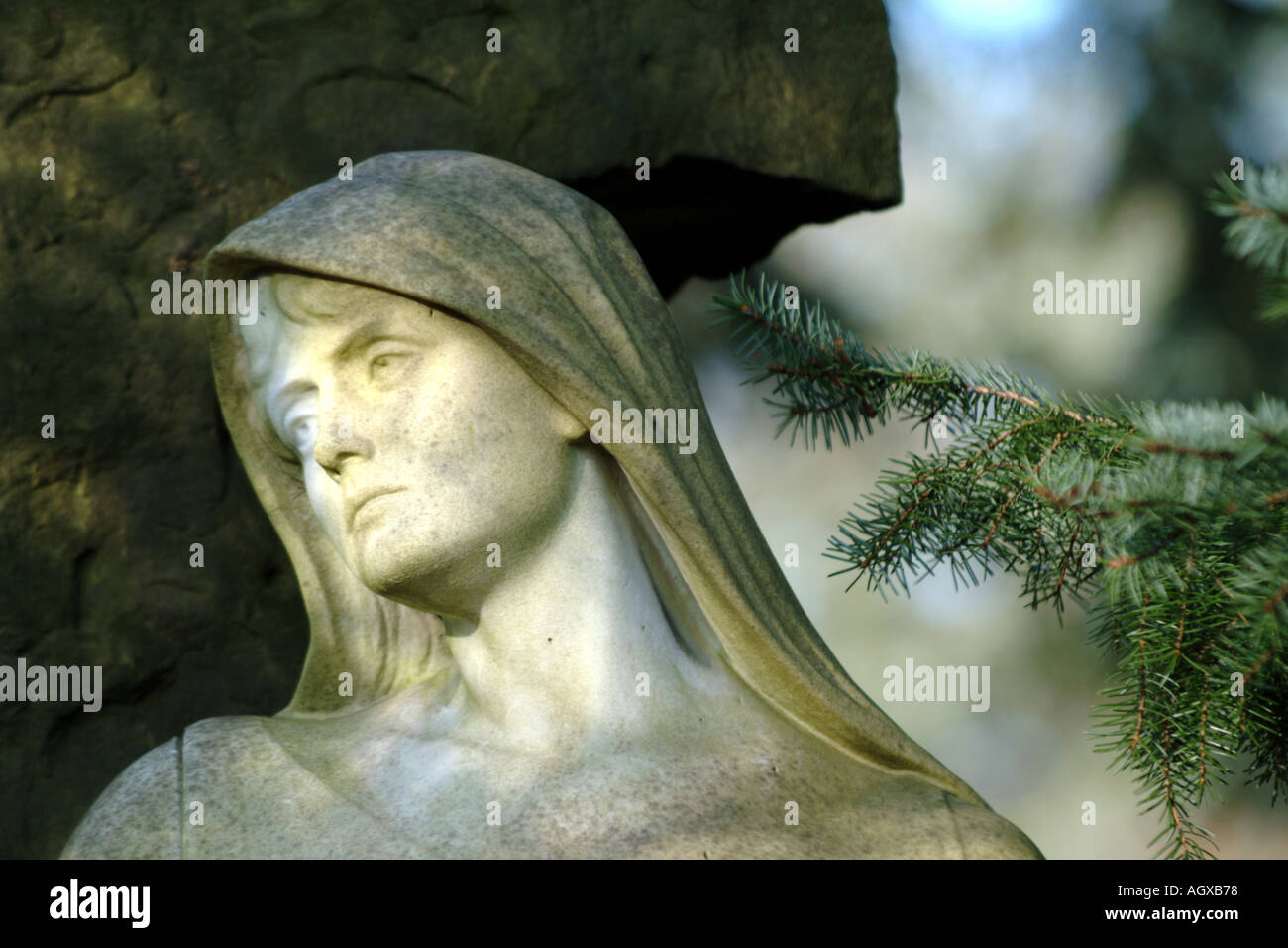 German graceful hi-res stock photography and images - Alamy