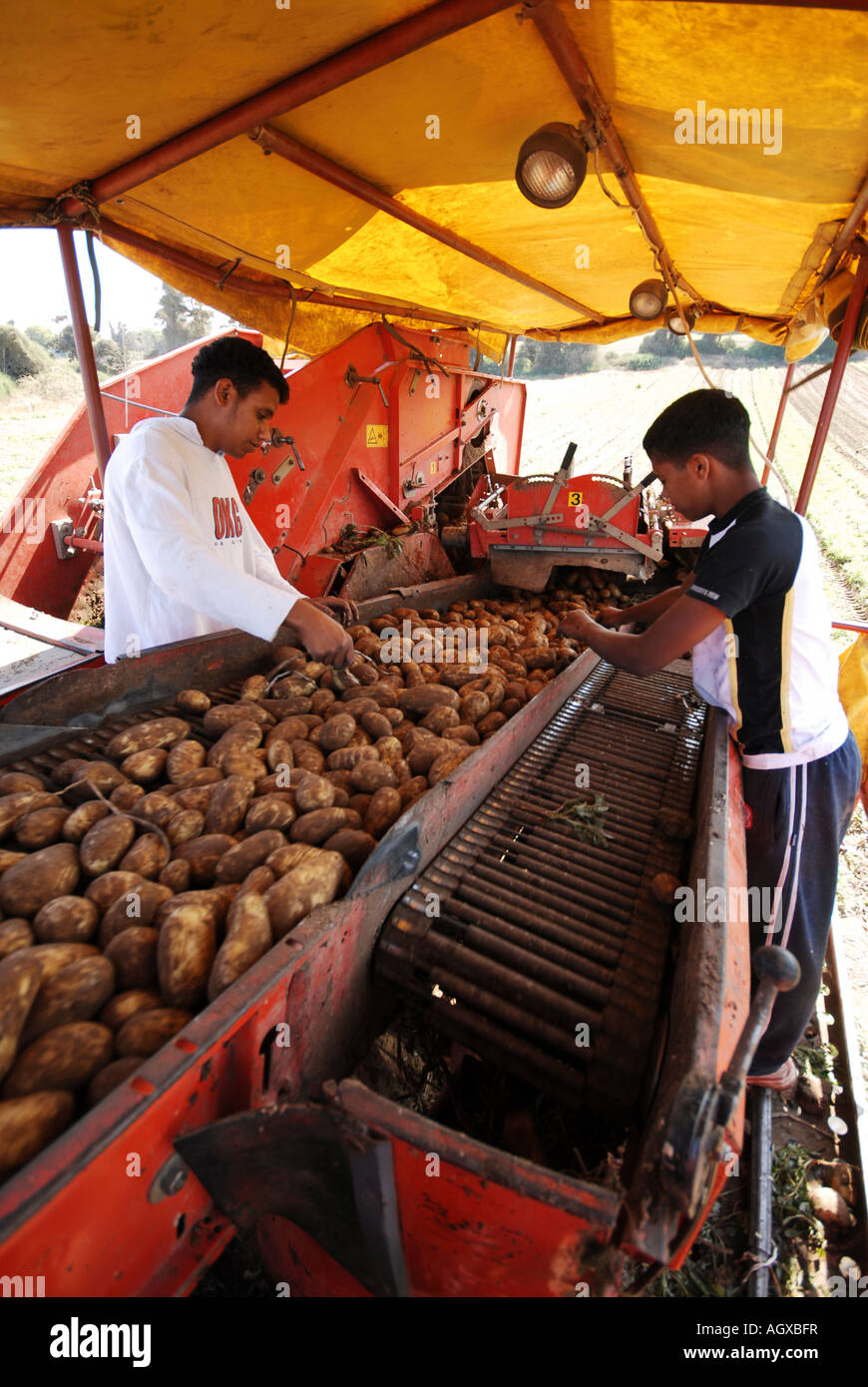 Conveyor belt on potato harvester hi-res stock photography and images ...