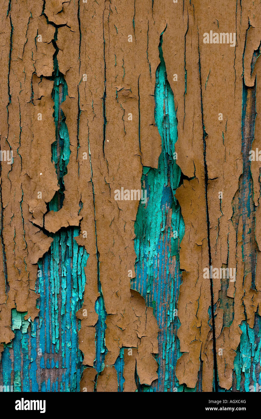 Brown paint peeling off weathered surface, revealing turquoise and blue ...