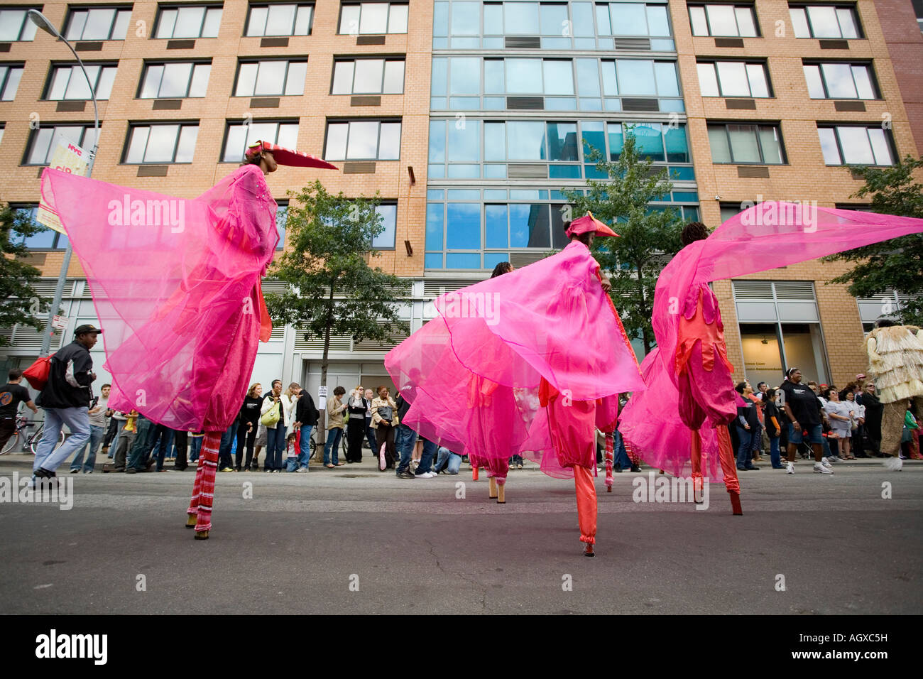 Moko hi-res stock photography and images - Alamy