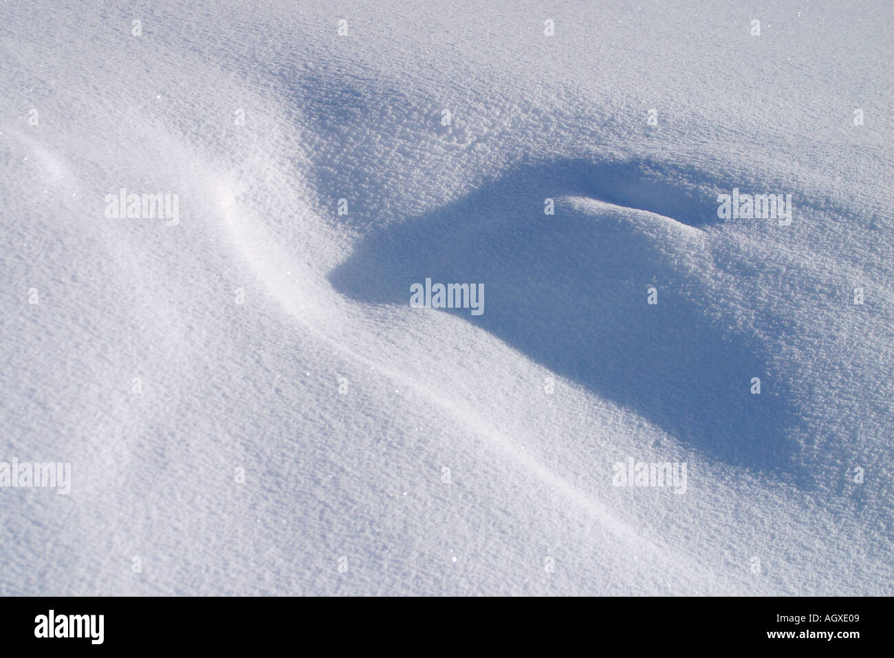 Wind blown snow crystals hi-res stock photography and images - Alamy