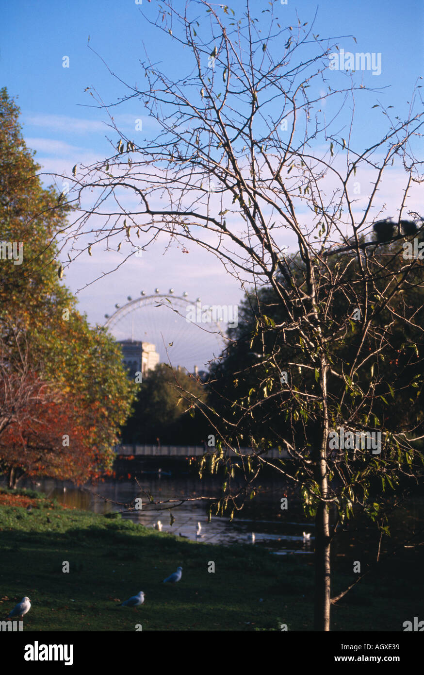 Beautiful November colours in St James Park in central London Stock ...