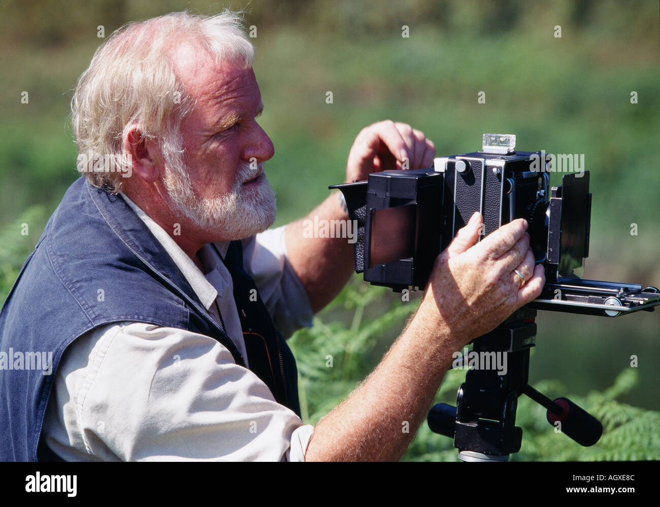 LANDSCAPE PHOTOGRAPHER WITH 5x4 FIELD CAMERA Stock Photo - Alamy