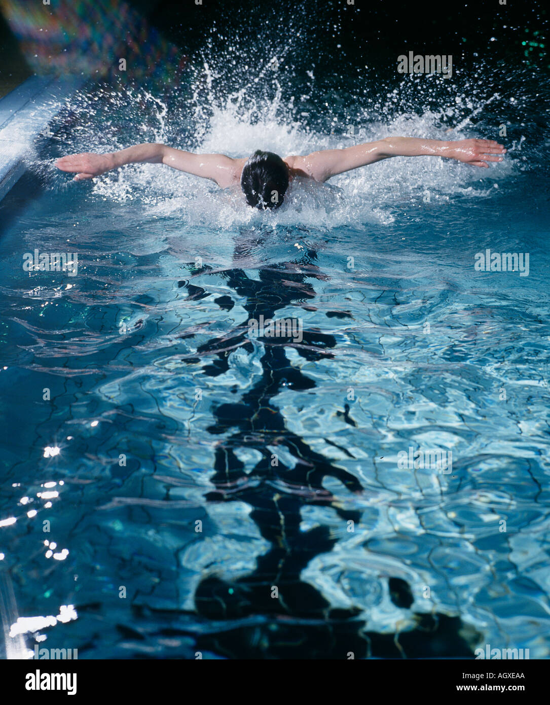 Butterfly stroke hi-res stock photography and images - Alamy