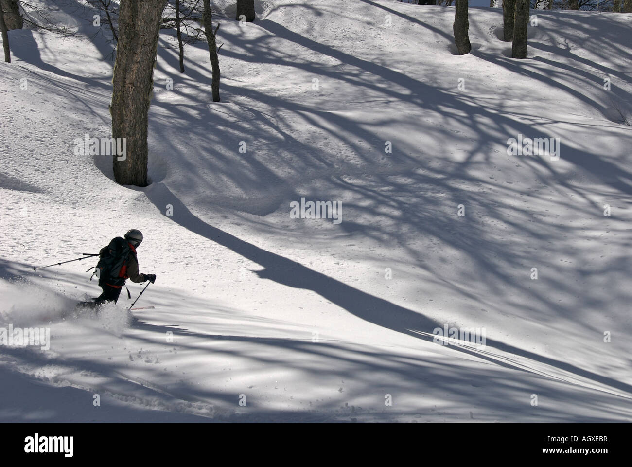 telemark touring in the Patagonian forests Chapelco Argentina Stock ...