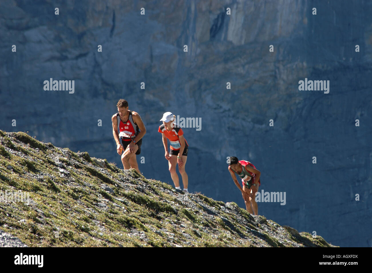 Juingfrau Marathon mountain runner race , Runners at moraine near ...