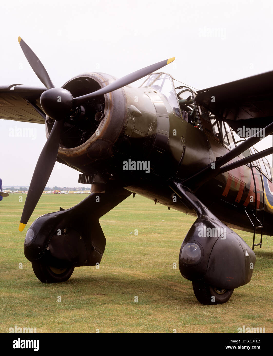 Westland Lysander reconnaissance aircraft in Royal Air Force colours ...