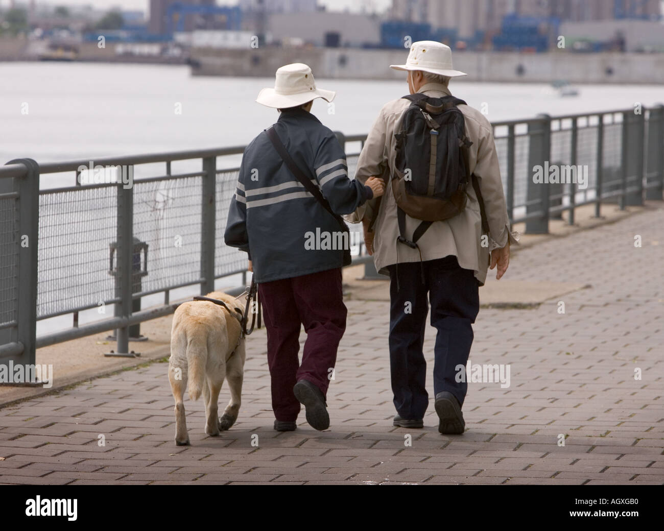 An elderly couple walking with their dog Stock Photo - Alamy