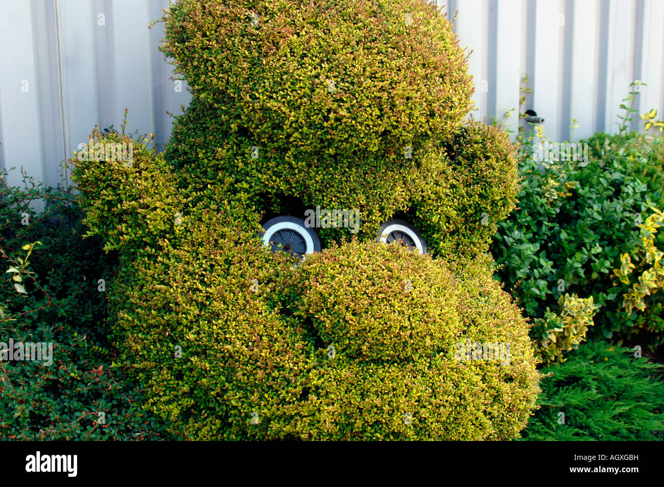 A Garden Shrub Shaped Into A Face Stock Photo - Alamy