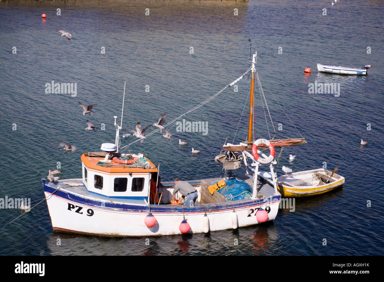 Two men sorting fish hi-res stock photography and images - Alamy