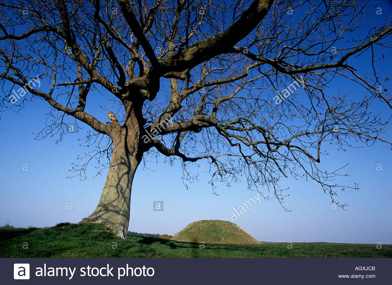 Sutton Hoo Anglo Saxon Burial Stock Photos & Sutton Hoo Anglo Saxon ...