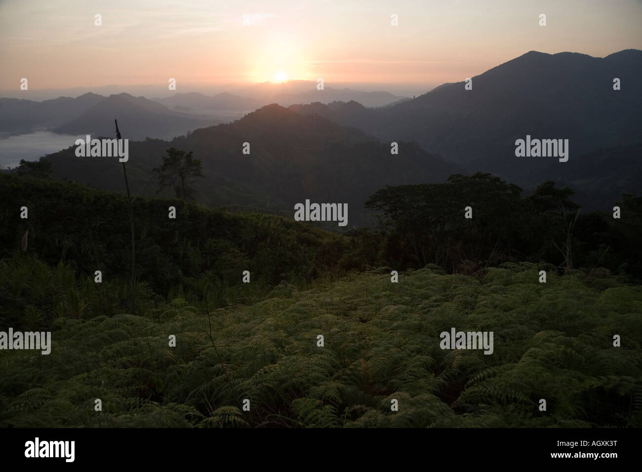 Sunrise over the Sierra Nevada de Santa Marta, Colombia Stock Photo - Alamy