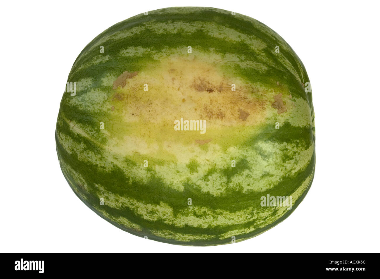 close up of a one whole watermelon Stock Photo - Alamy