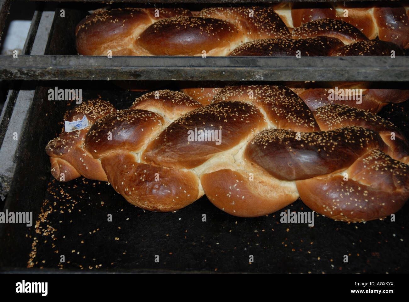 Freshly baked Challah Stock Photo - Alamy