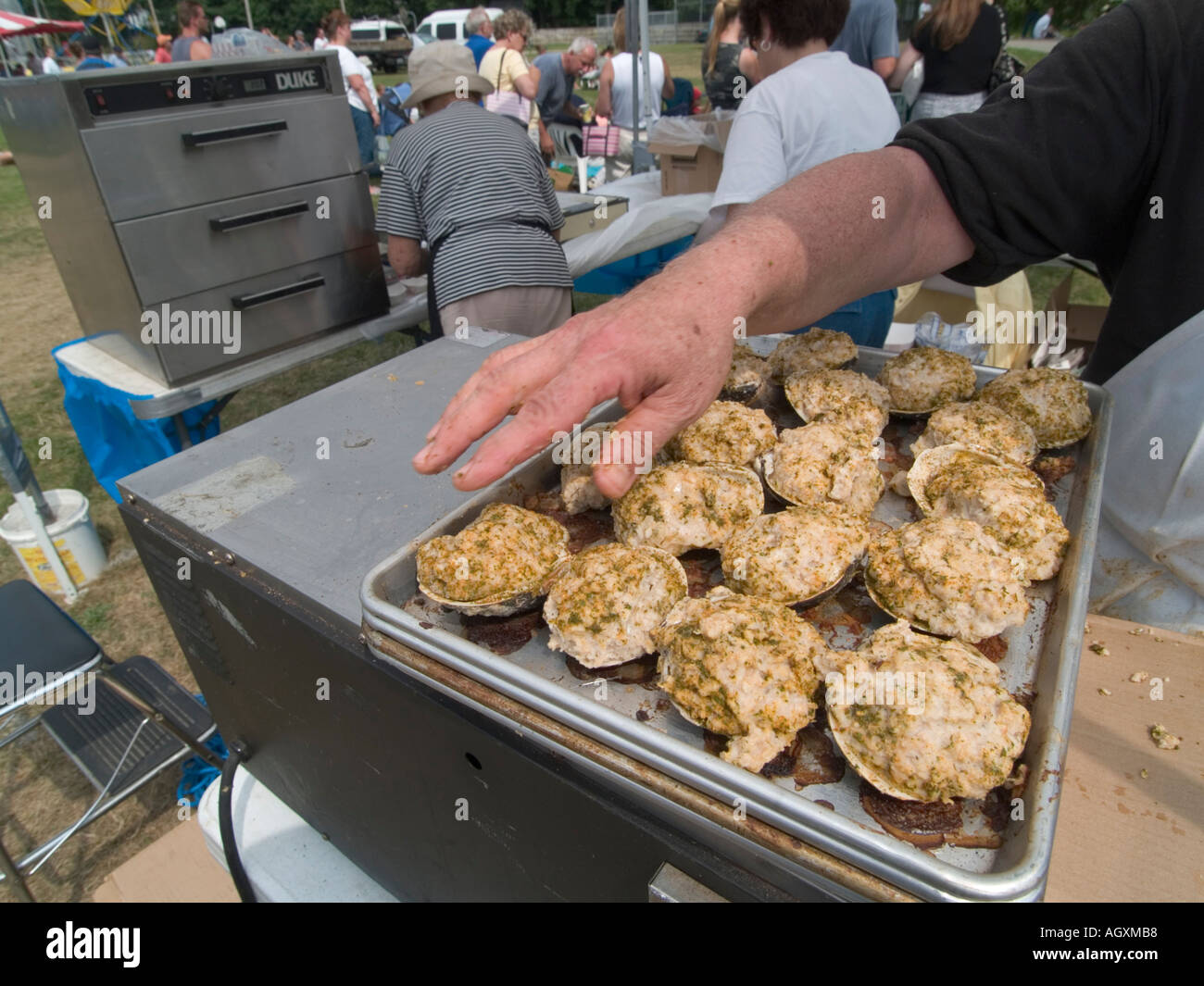 Quahog hi-res stock photography and images - Alamy