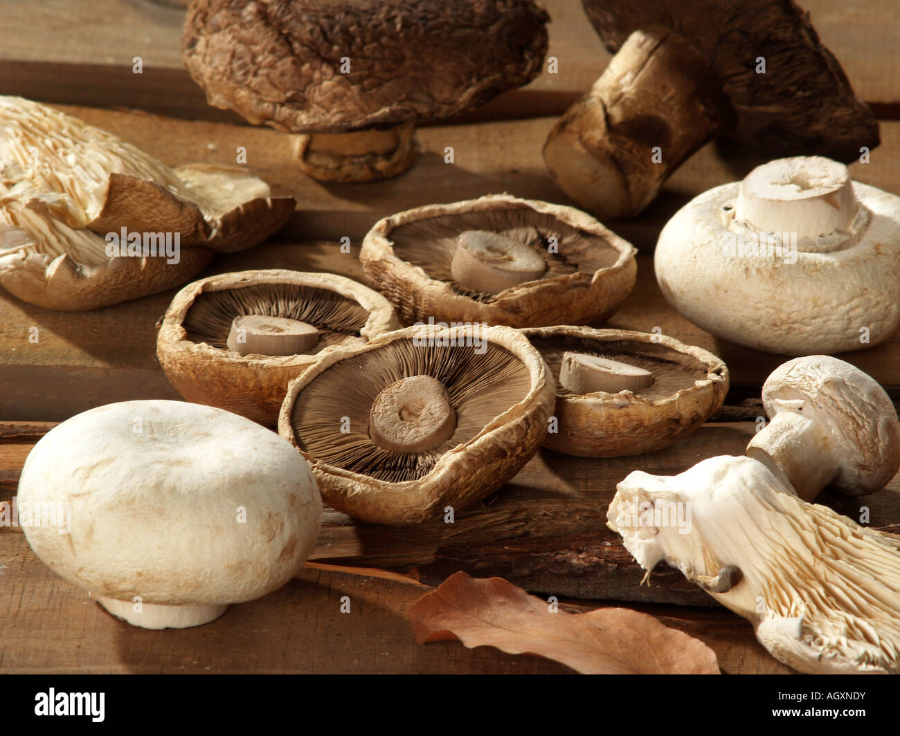 Different types of cultivated edible mushrooms on a wooden background ...