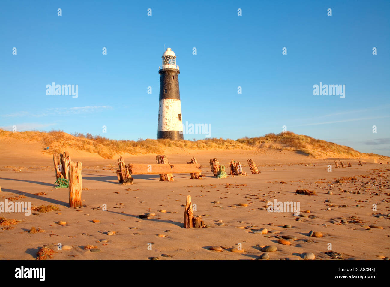 Spurn nature reserve hi-res stock photography and images - Alamy