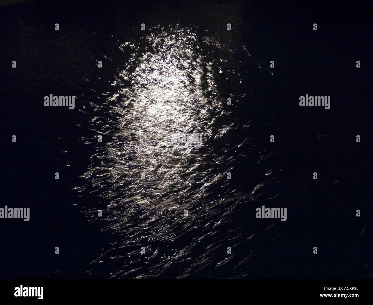 Time exposures of city lights on the water at night Stock Photo - Alamy