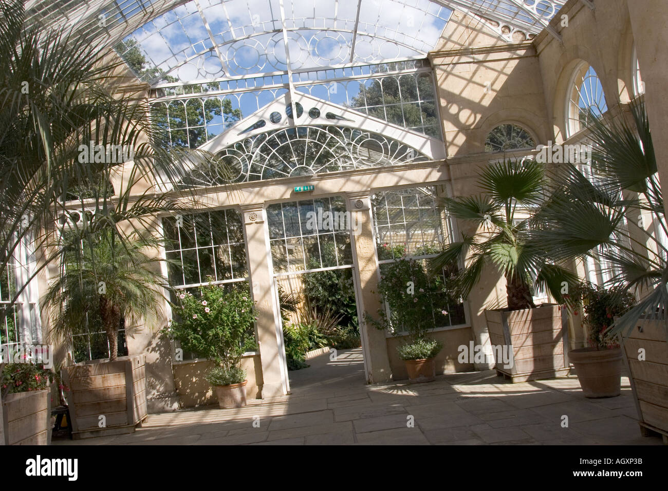 Interior of the Great Conservatory at Syon Park built by Charles Fowler ...