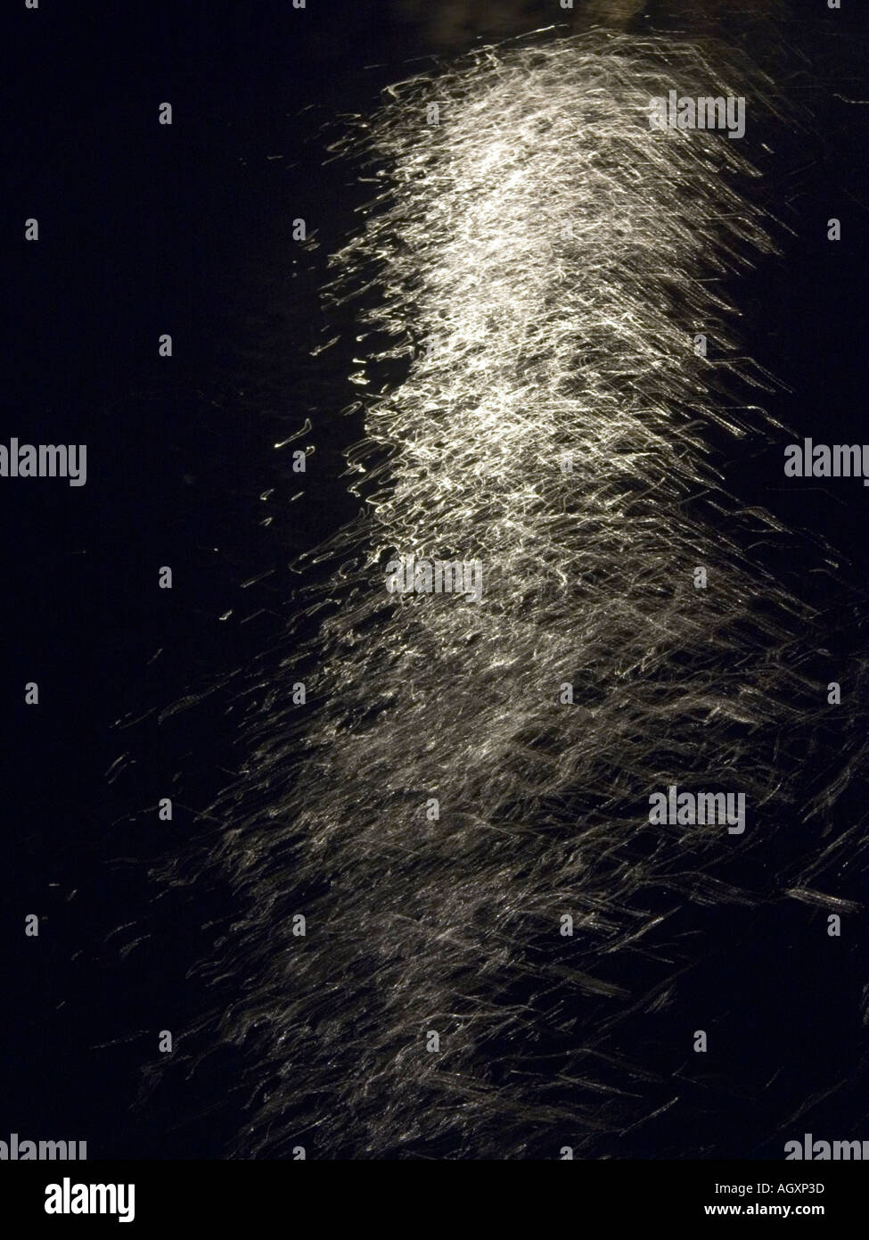 Time exposures of city lights on the water at night Stock Photo - Alamy