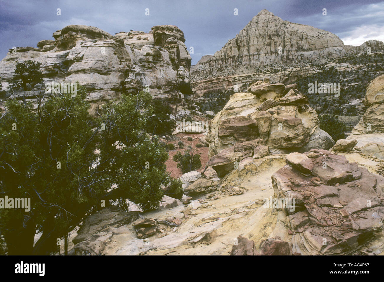 Pectols Pyramid Capitol Reef National Park Utah USA Stock Photo - Alamy