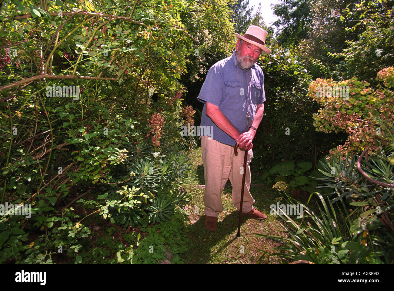 THE LATE WRITER JOHN FOWLES PICTURED AT HIS LYME REGIS HOME IN JULY ...