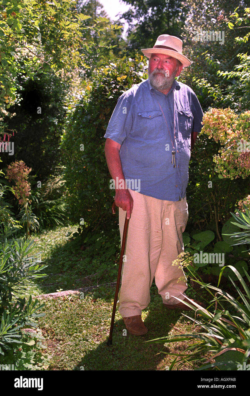 THE LATE WRITER JOHN FOWLES PICTURED AT HIS LYME REGIS HOME IN JULY ...