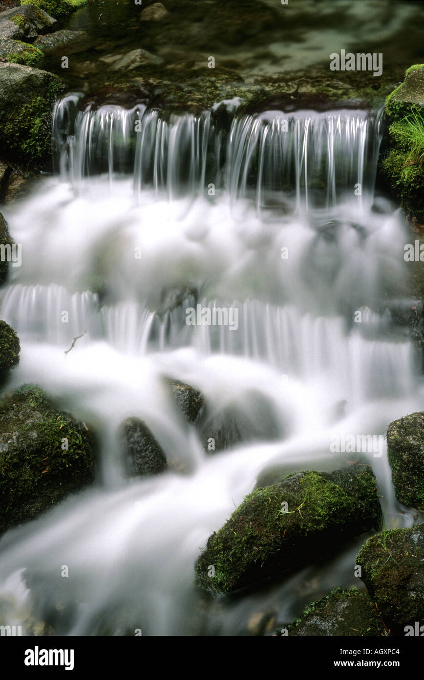 Fern springs yosemite national park hi-res stock photography and images ...