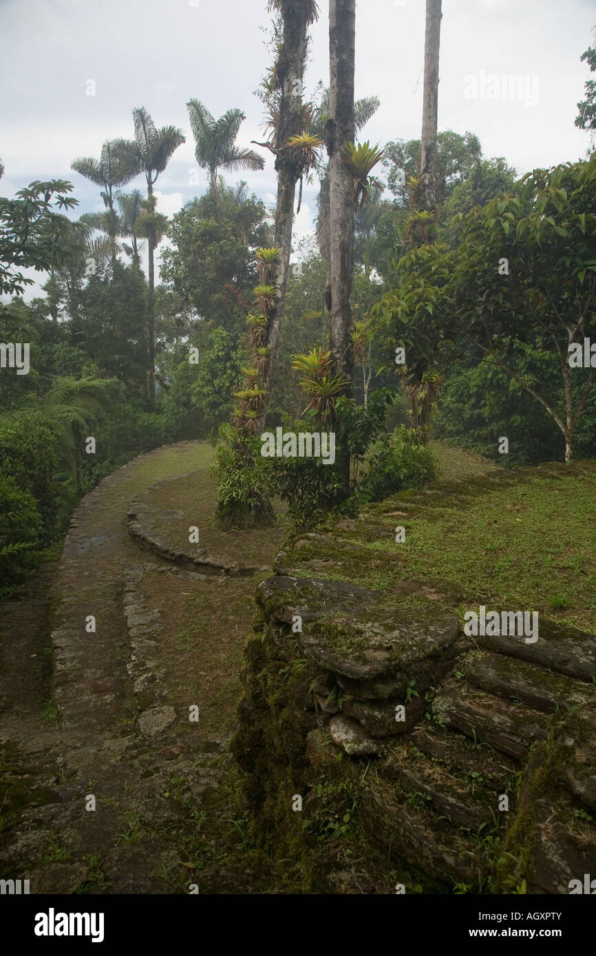 The excavated terraces of the Lost City of Teyuna, Ciudad Perdida ...