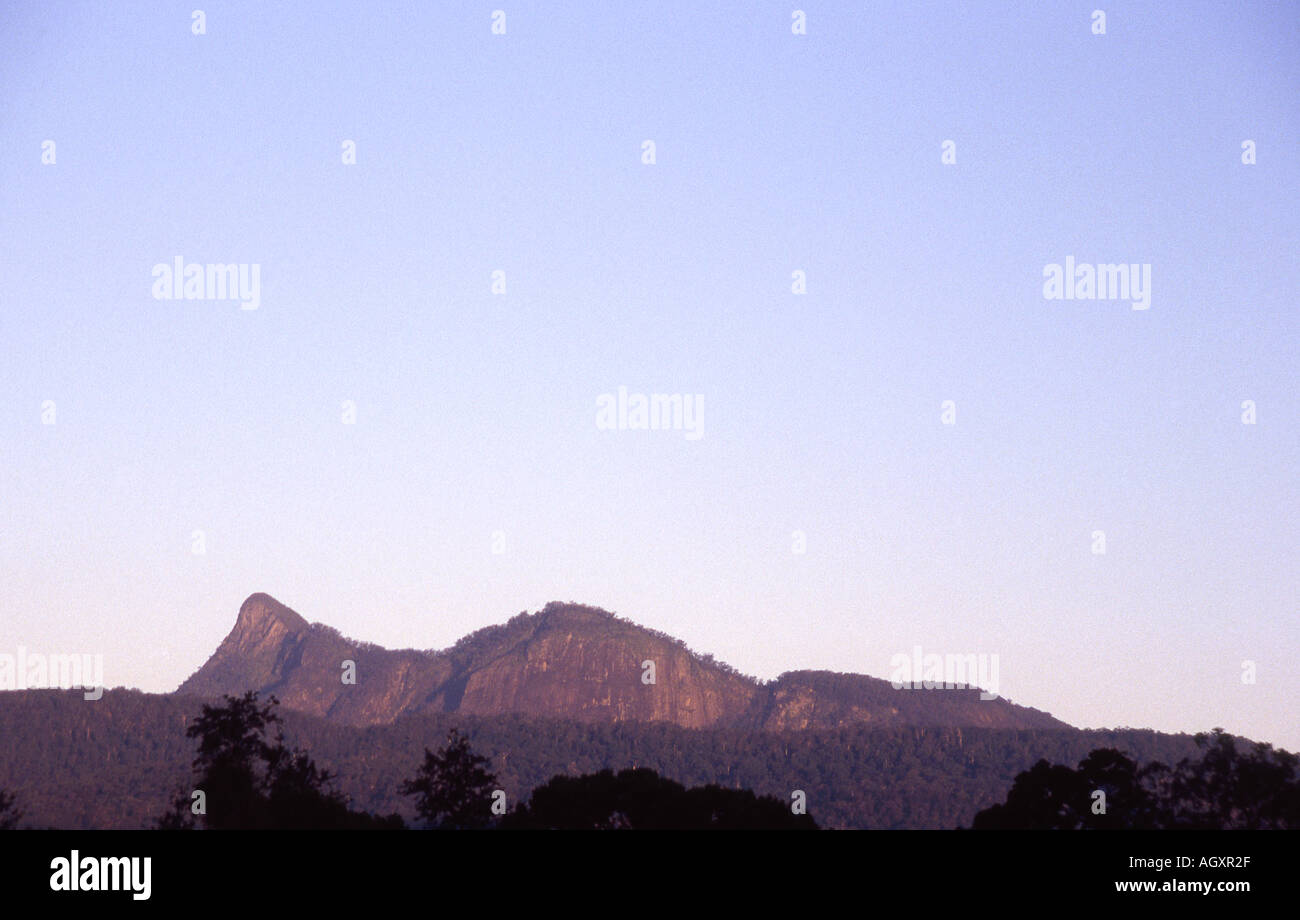 panorama landscape of mount warning uki northern nsw australia ...