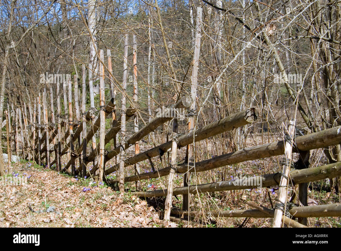 Rustic branches fence hi-res stock photography and images - Alamy