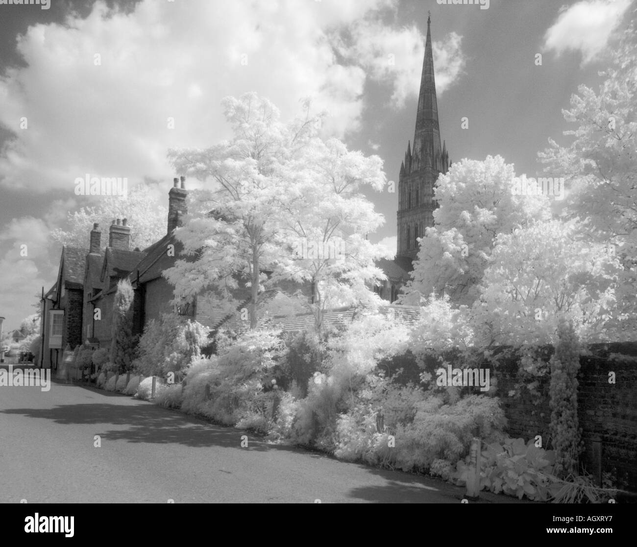 North Walk and the Cathedral Spire Salisbury England UK Stock Photo - Alamy